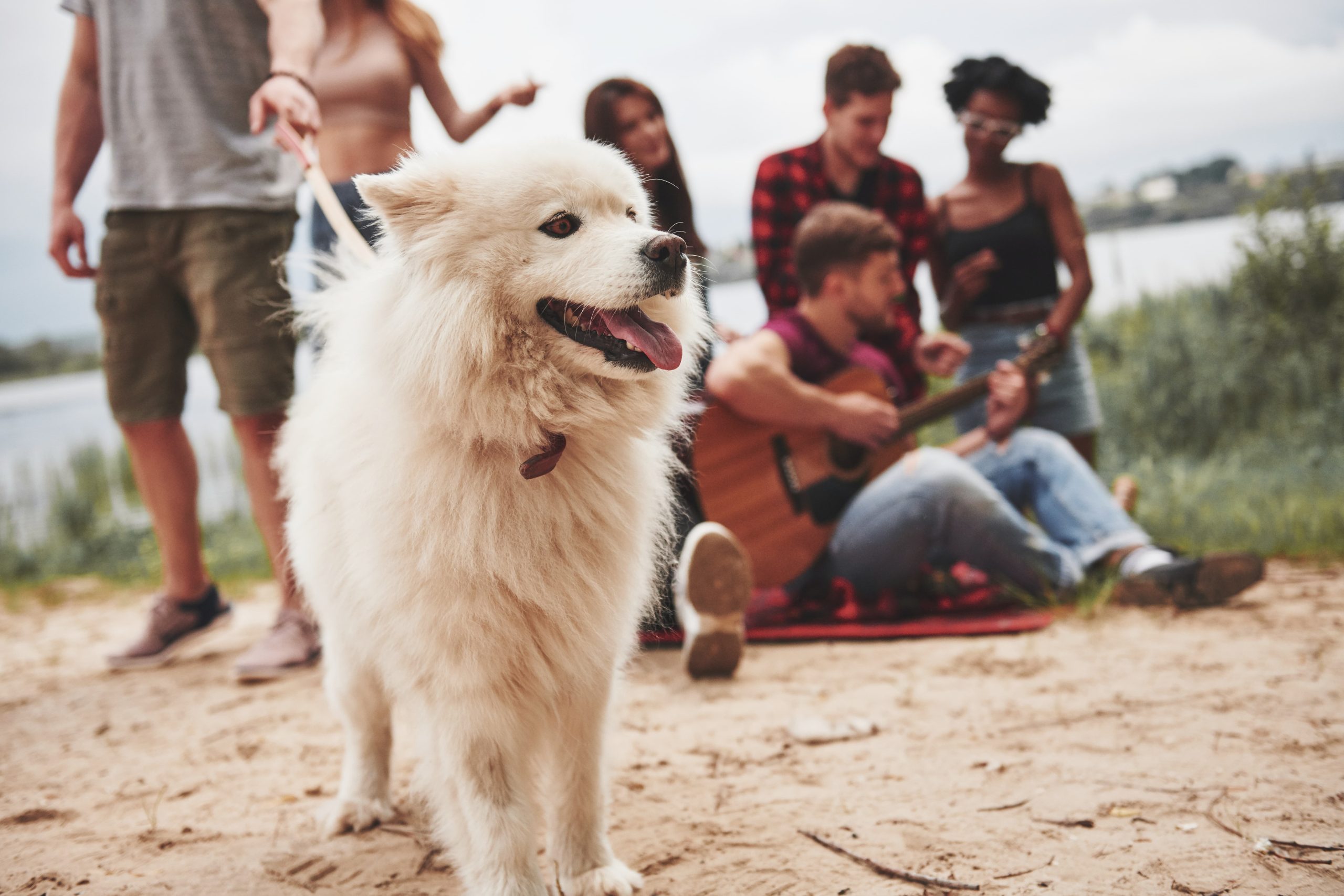 About Us | Saint Roch Veterinary